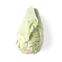 Recipes | Quick and Easy Dinner Ideas | Gousto